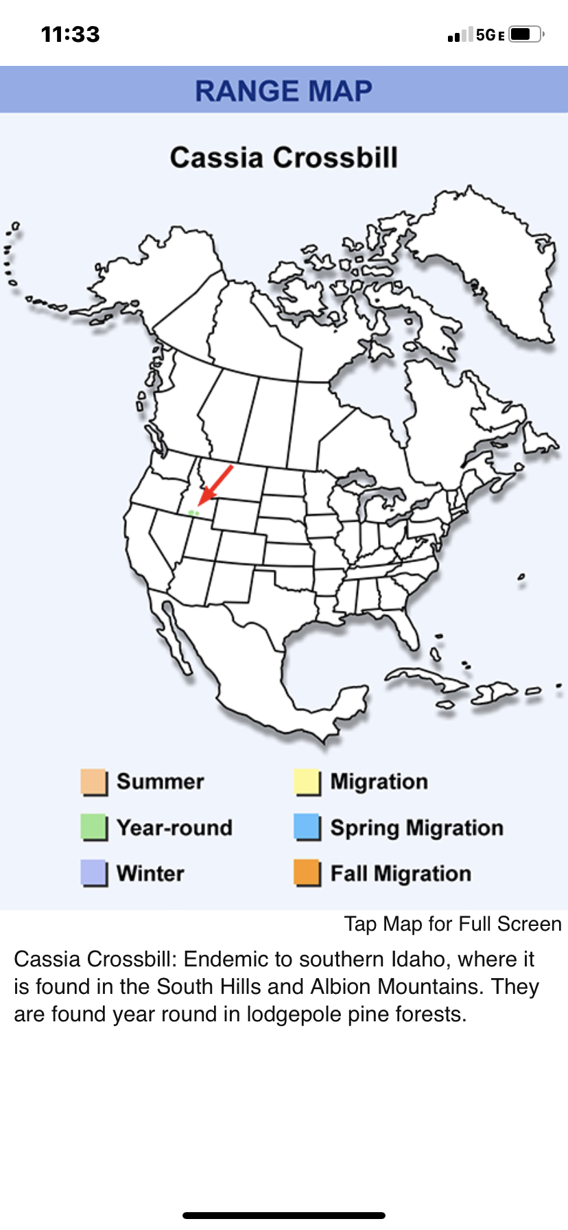 Idaho’s CASSIA CROSSBILL | birdtalesblog
